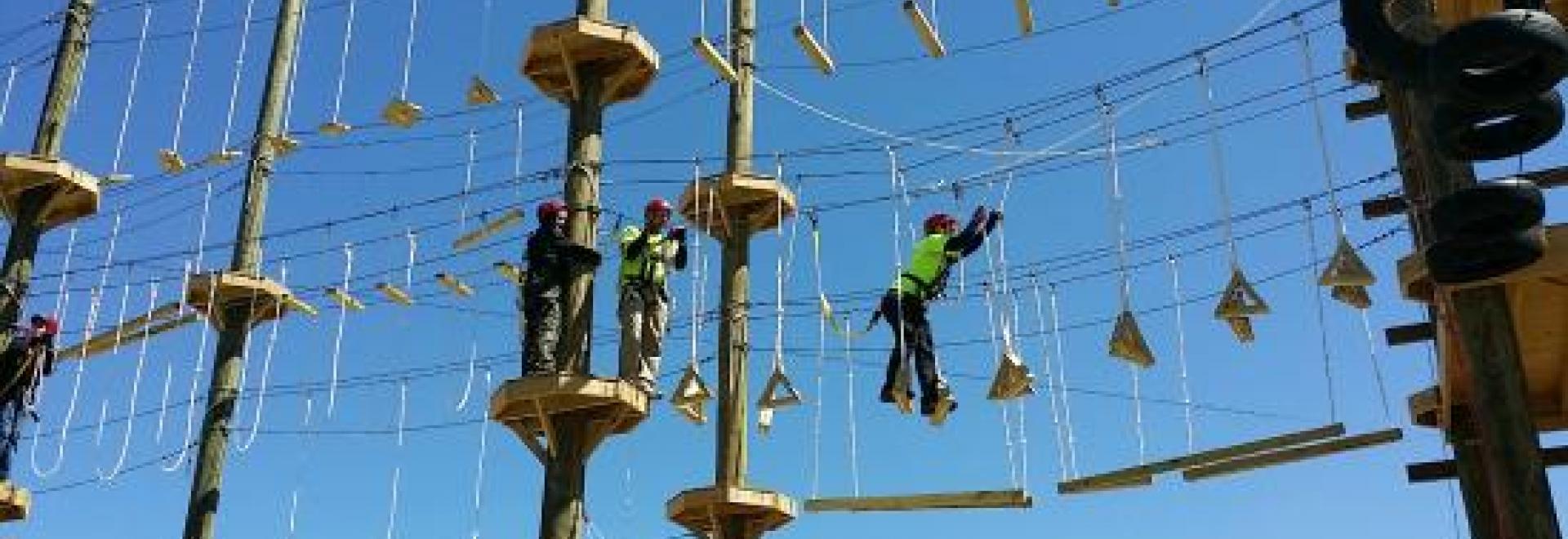 High Rope Adventure in the Woods